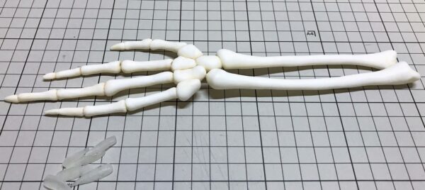 河童の手のミイラ [Mummy with kappa hands] | SiNの箱庭 Atelier